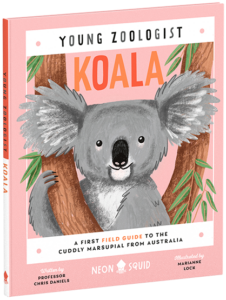 Koala (Young Zoologist) - Neon Squid